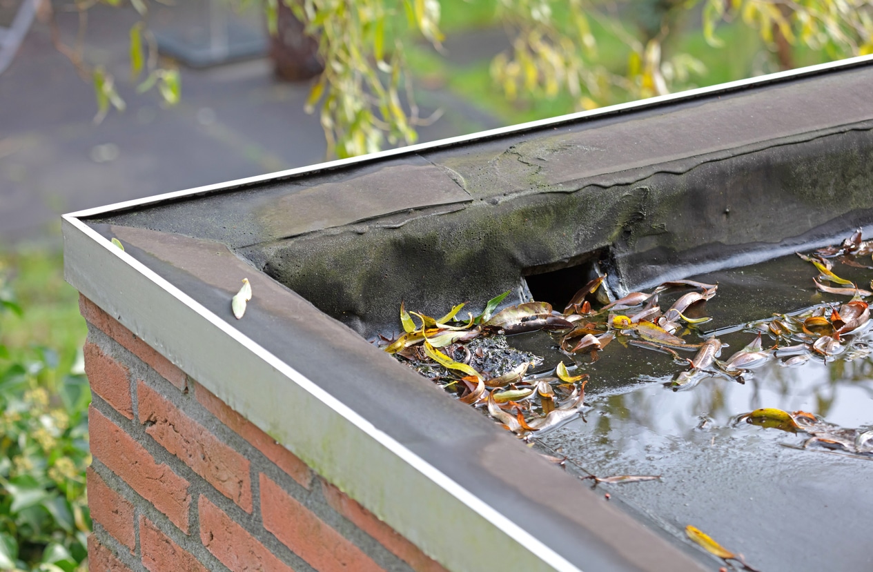 Flat Roof Drainage Systems 101 | City Roofing & Exteriors